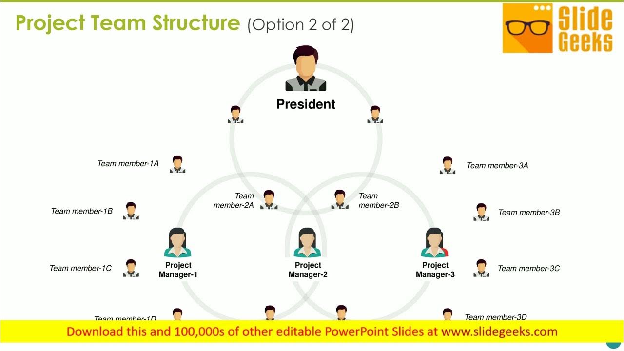 Project Team Structure Template Ppt Powerpoint Presentation Outline ...