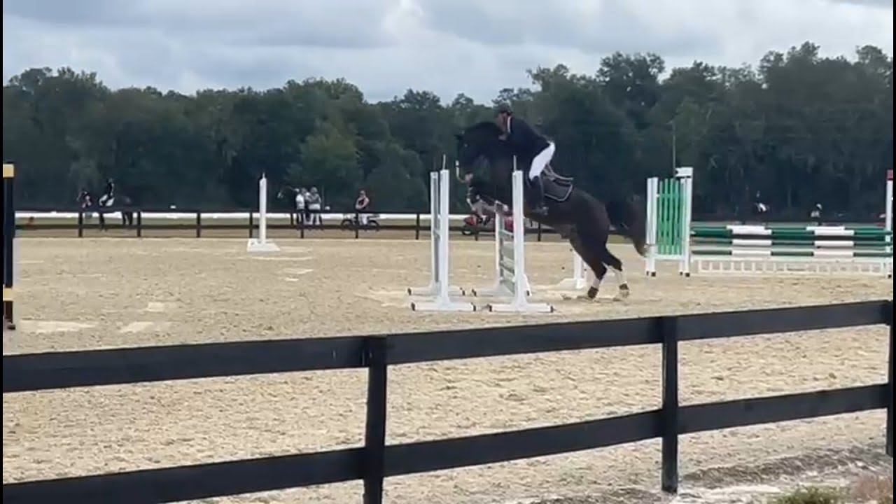 Legend Has It and Javier Gamboa Training Stadium Jumping Rocking Horse ...