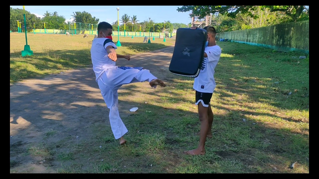 (Back leg kick,Front kick,Side kick,High kick and Push kick) - YouTube