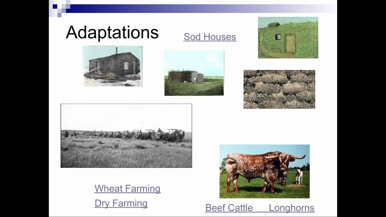 Westward Expansion Great Plains - YouTube