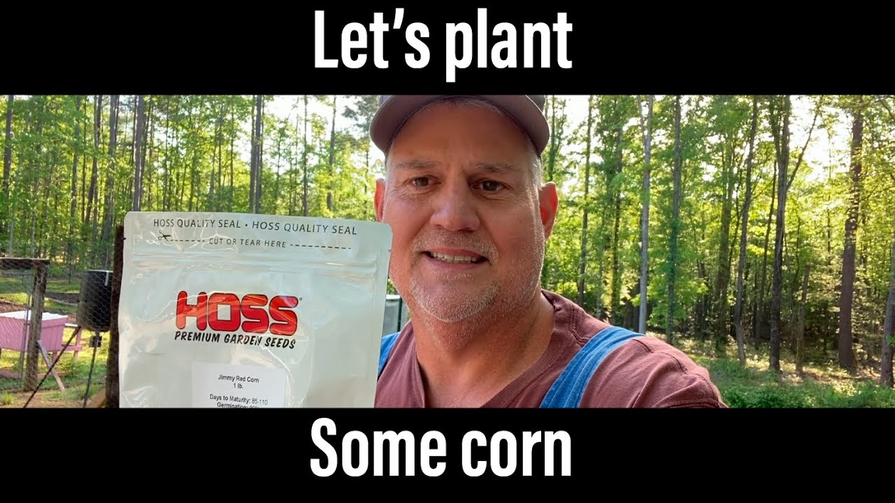 Planting corn with Hoss Tools seed #homesteading #farming #garden # ...