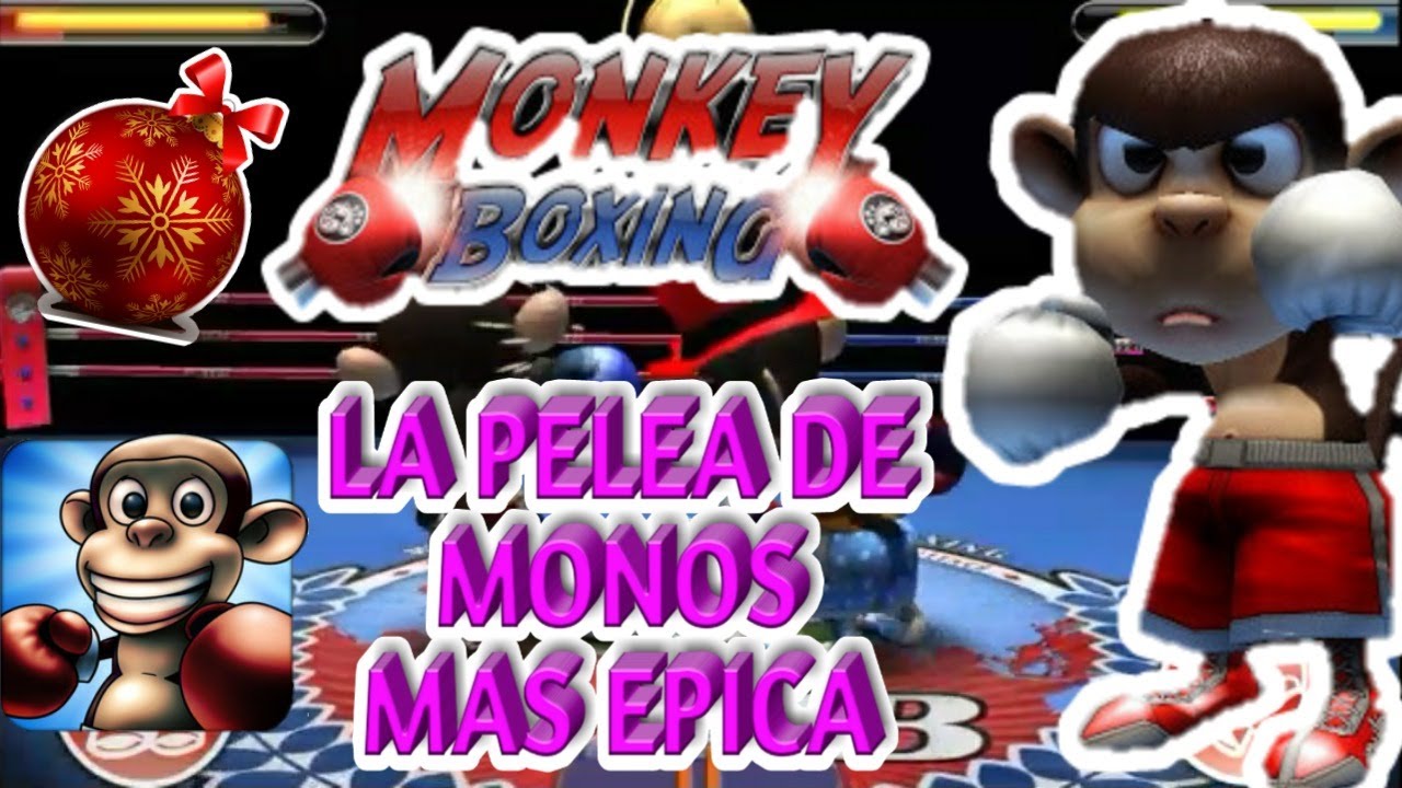LA PELEA MAS EPICA DE MONOS / Especial de navidad / Monkey boxing ...