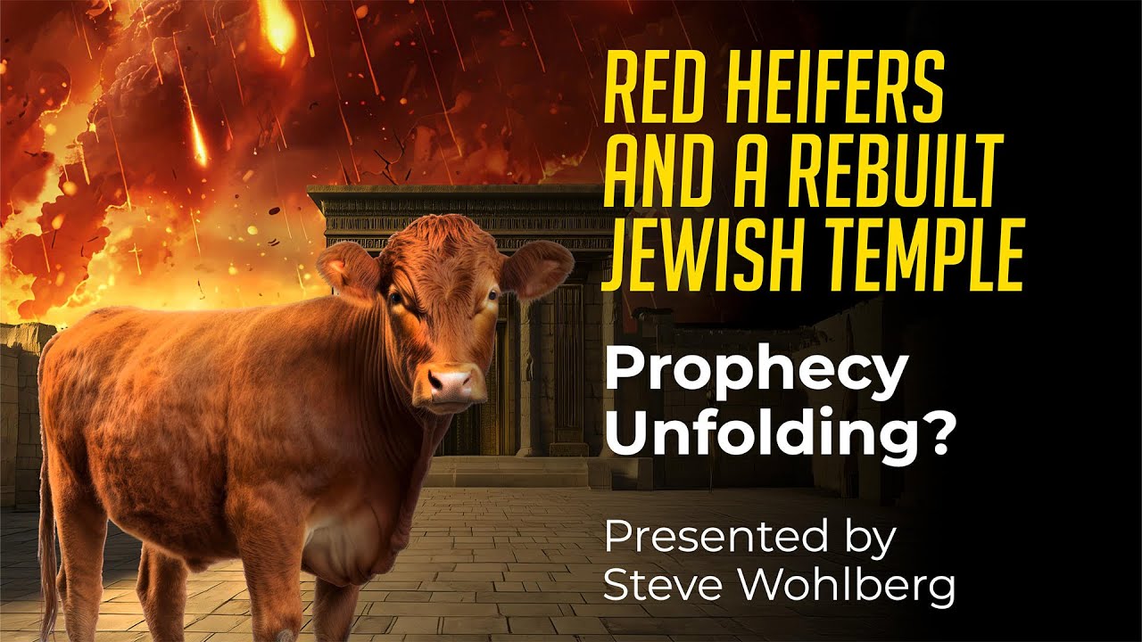 Revelation's Rapture - Red Heifers and the Rebuilt Jewish Temple ...