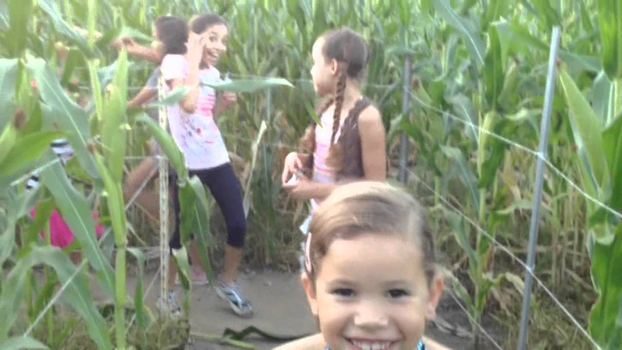 Corn Field Maze at the Peltzer Pumpkin Patch - 2011 - YouTube