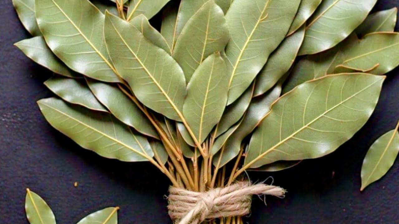 COMO FAZER LOURO EM PÓ DA MANEIRA CORRETA - SEM DESPERDÍCIO DE GÁS E ...