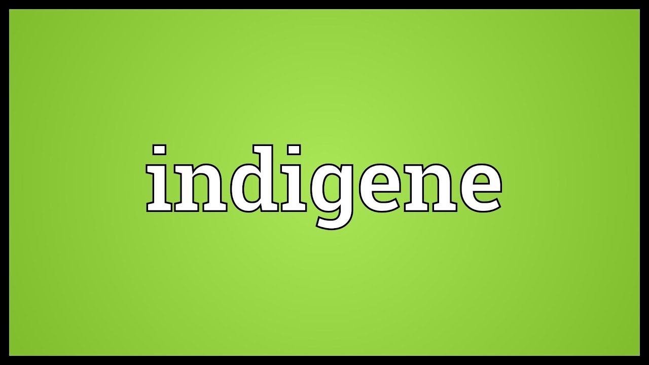 Indigene Meaning - YouTube