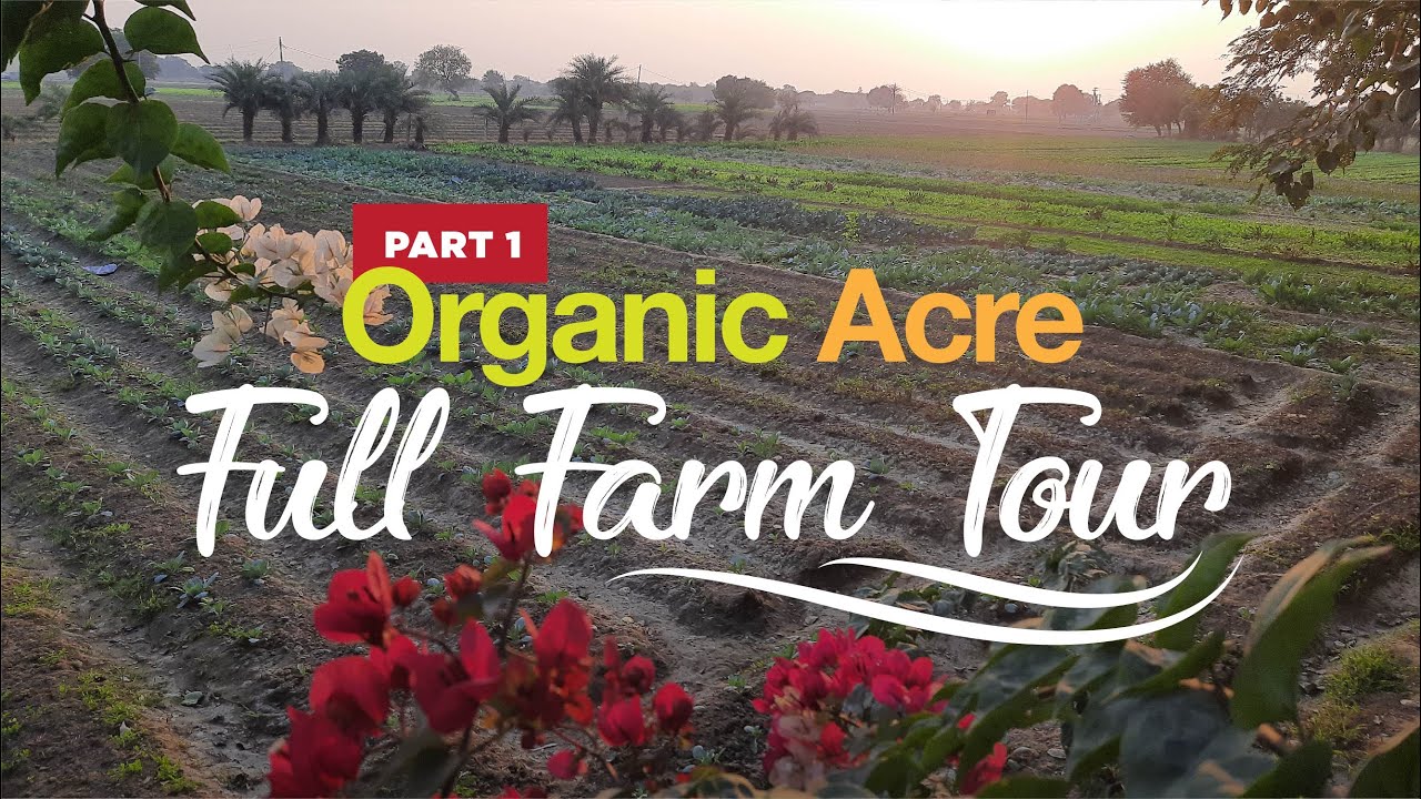 Fun Farm Tour - ORGANIC ACRE | Part-1 | घर बैठे देखें मेरा पूरा खेत ...
