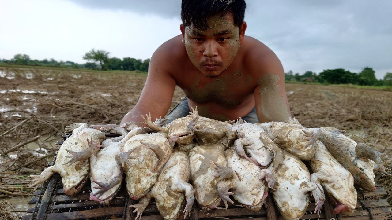 HUNT FROGS FOR FOOD | this man makes spicy prahuk frogs sauce and ...