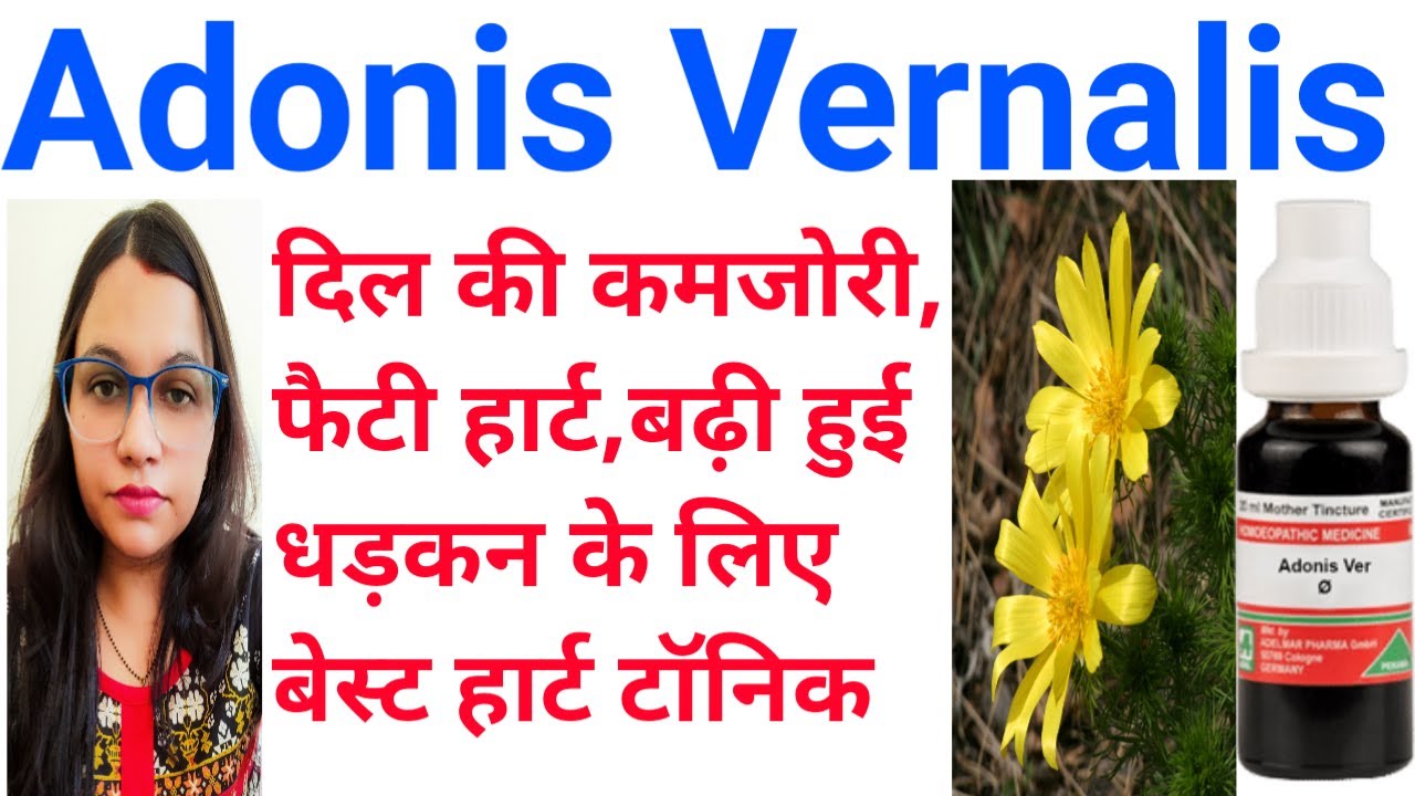 Adonis Vernalis | Adonis Vernalis Q | Adonis Vernalis Mother Tincture ...