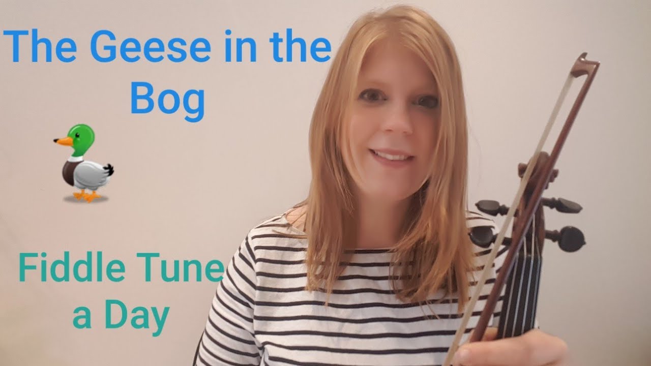 Geese in the Bog (Irish Jig) FIDDLE TUNE A DAY - YouTube
