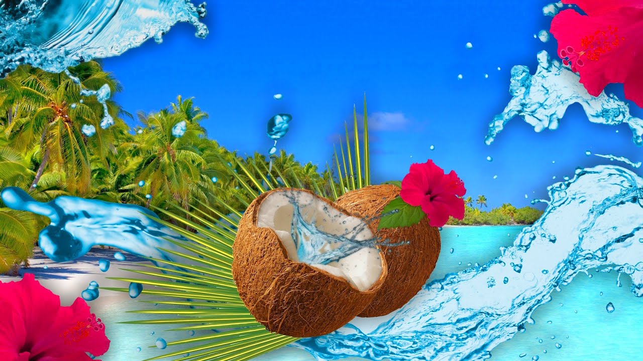 Jake Brantley - Coconut Water - YouTube