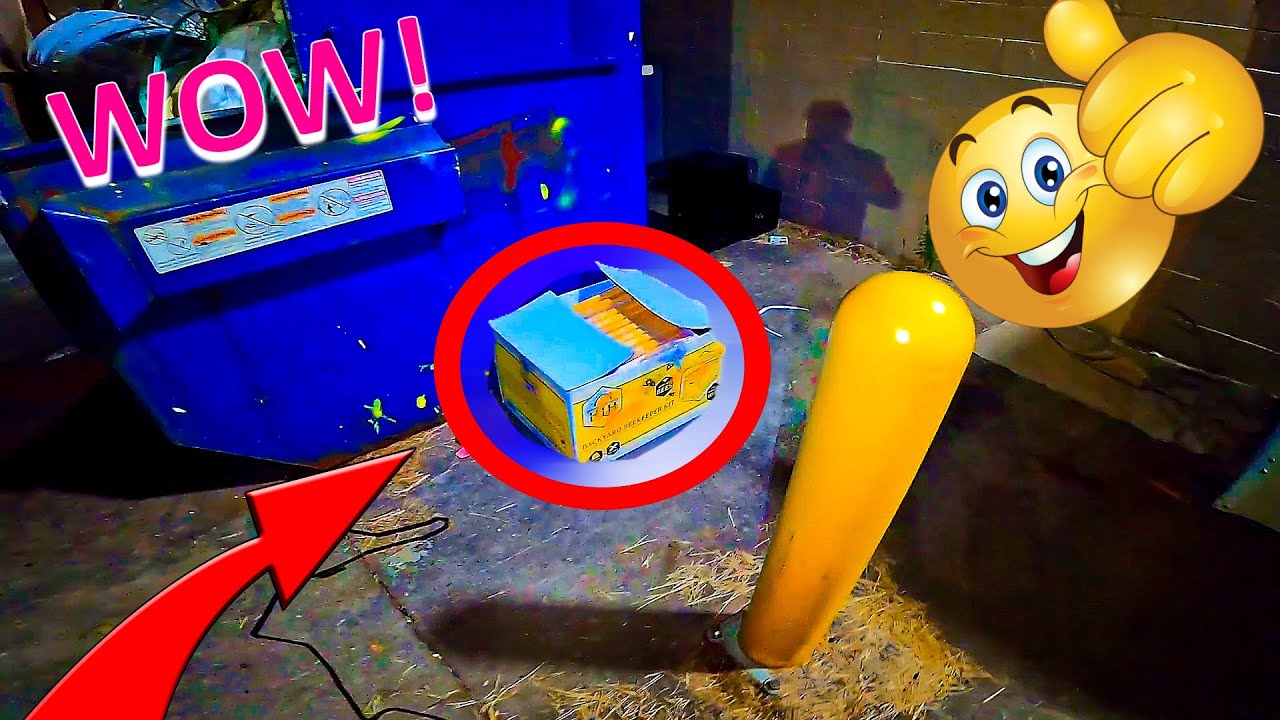 This Dumpster Diving Excursion Yielded Some Incredible Finds - YouTube