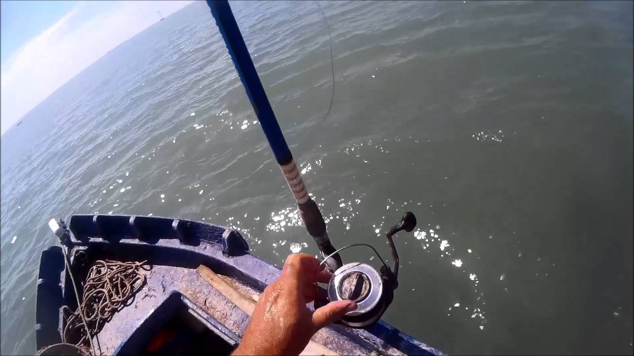 Pesca en la Bahía de Cádiz, 11 de septiembre (versión extendida) - YouTube