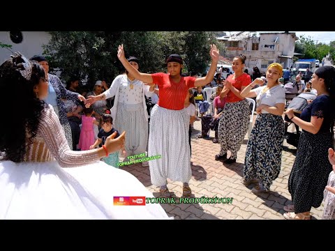 istanbullu roman kızları #oynuyor yeni #romandüğünleri #2025 #toprakprodüksiyon #dance #romanhavası