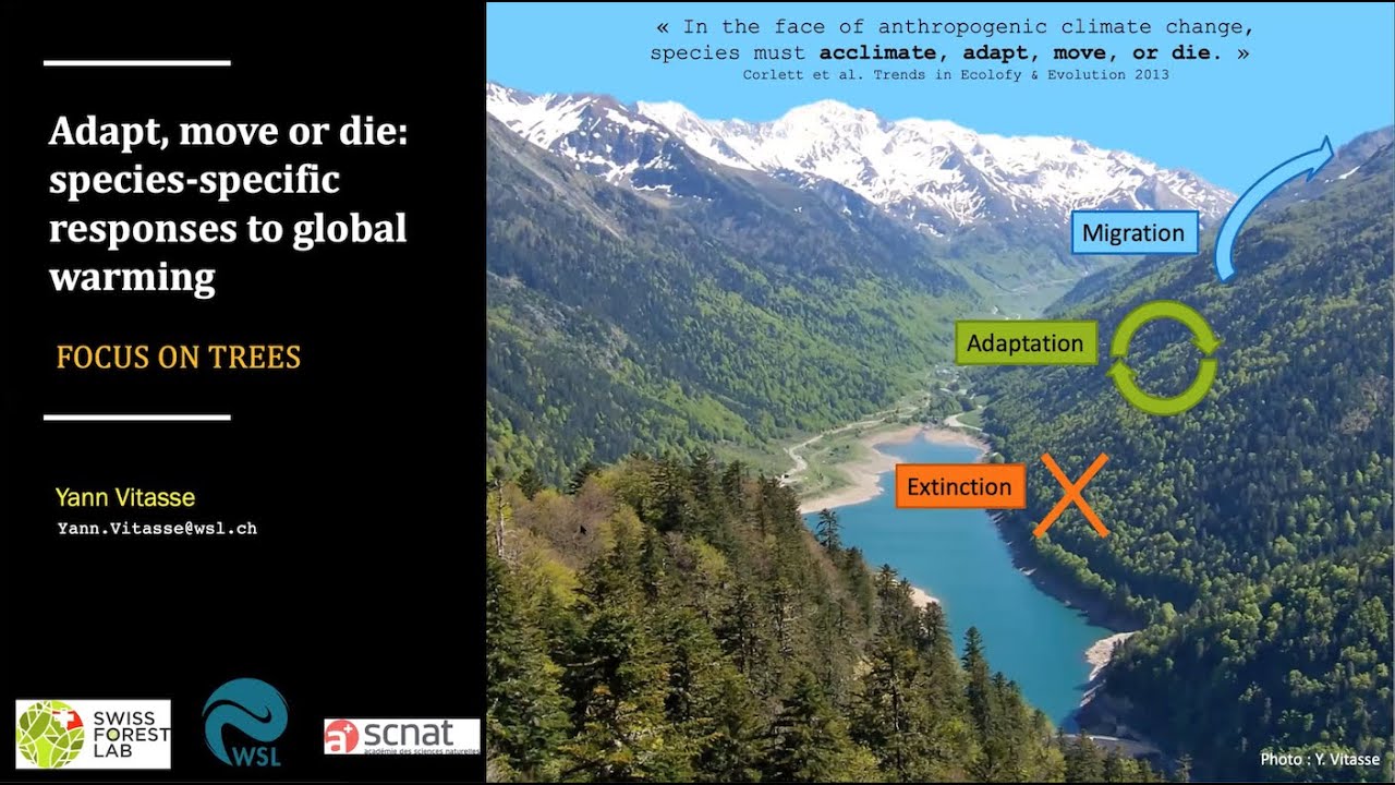 BD-Seminar 2021/06/30: Adapt, move or die: species-specific responses ...