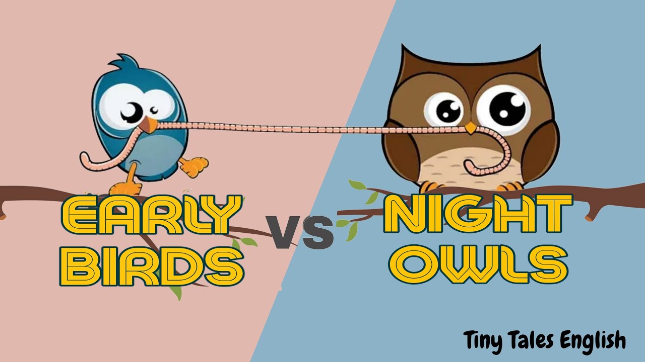Early Birds vs Night Owls - Which one is better? - YouTube