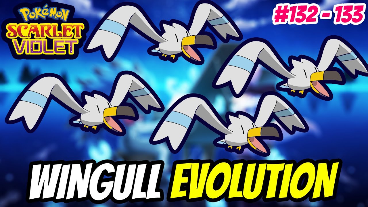Pokemon Wingull Evolution Chart
