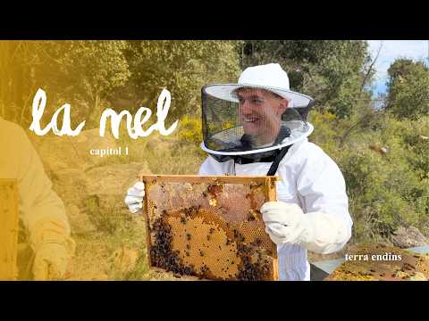 D’on surt LA MEL que mengem? 🐝 | Terra Endins #1