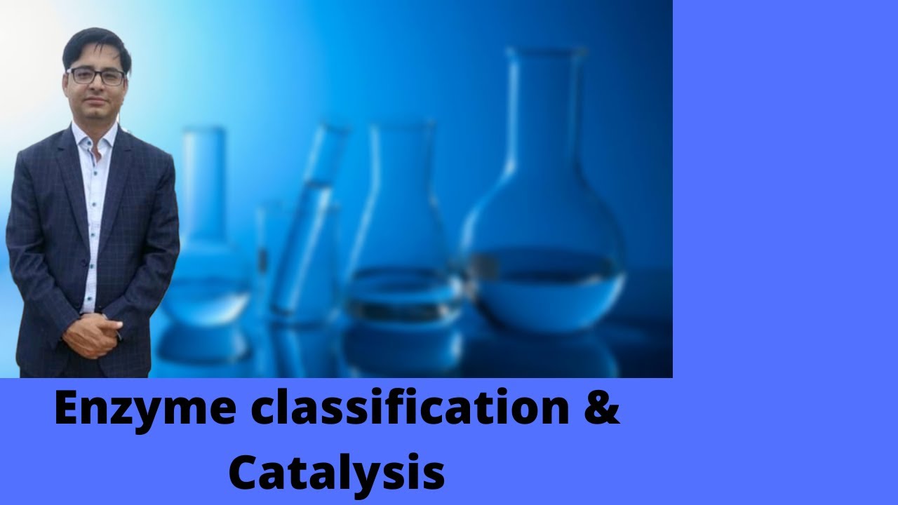 Enzyme classification & Catalysis - YouTube