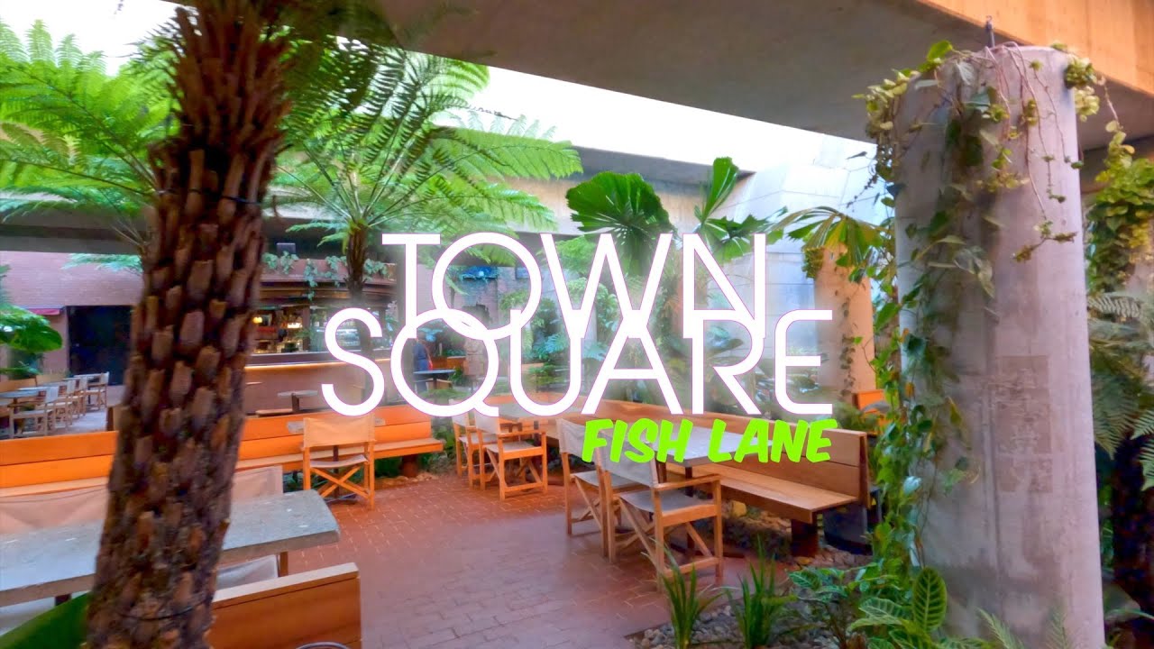 Exploring the Mesmerizing Surprises of Fish Lane | The Town Square ...