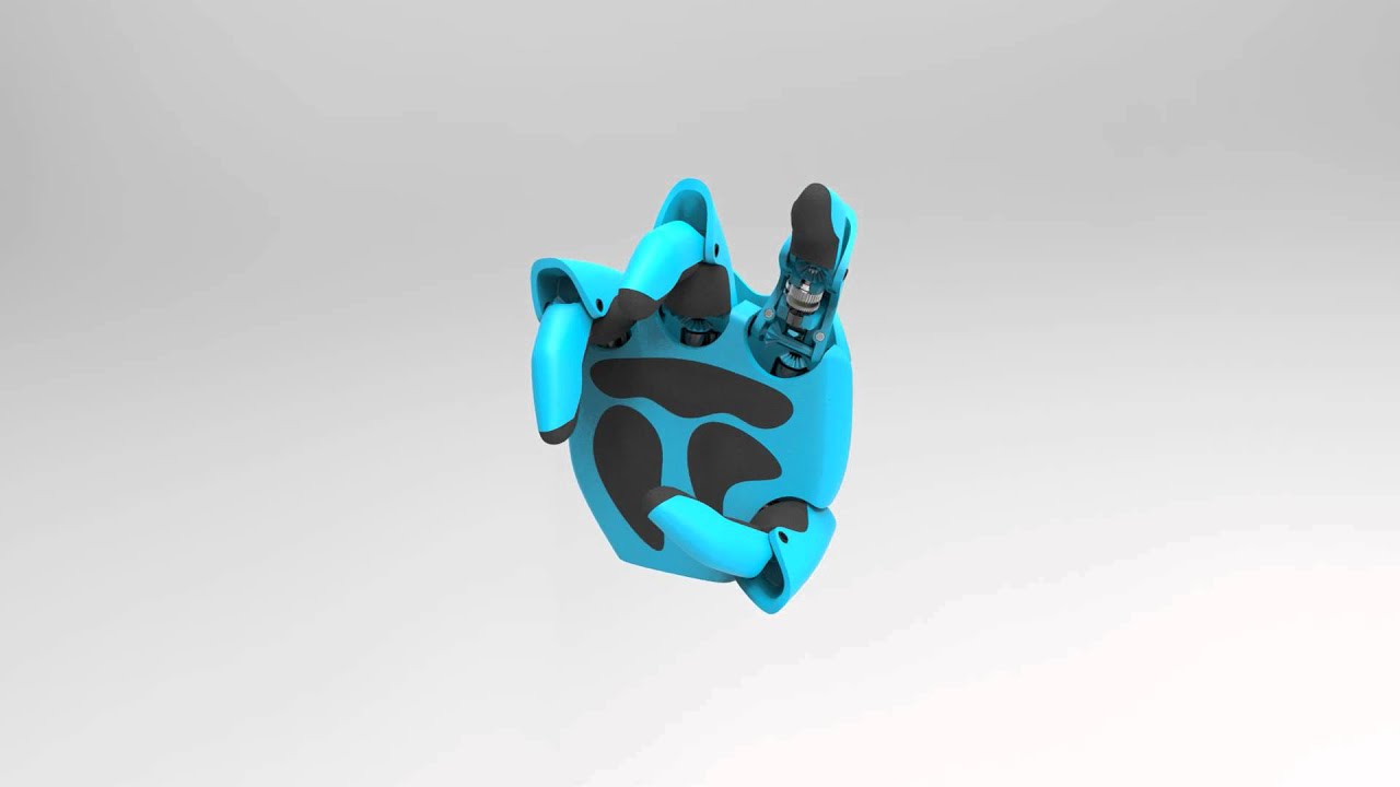 Teo's hand 360 degrees - YouTube