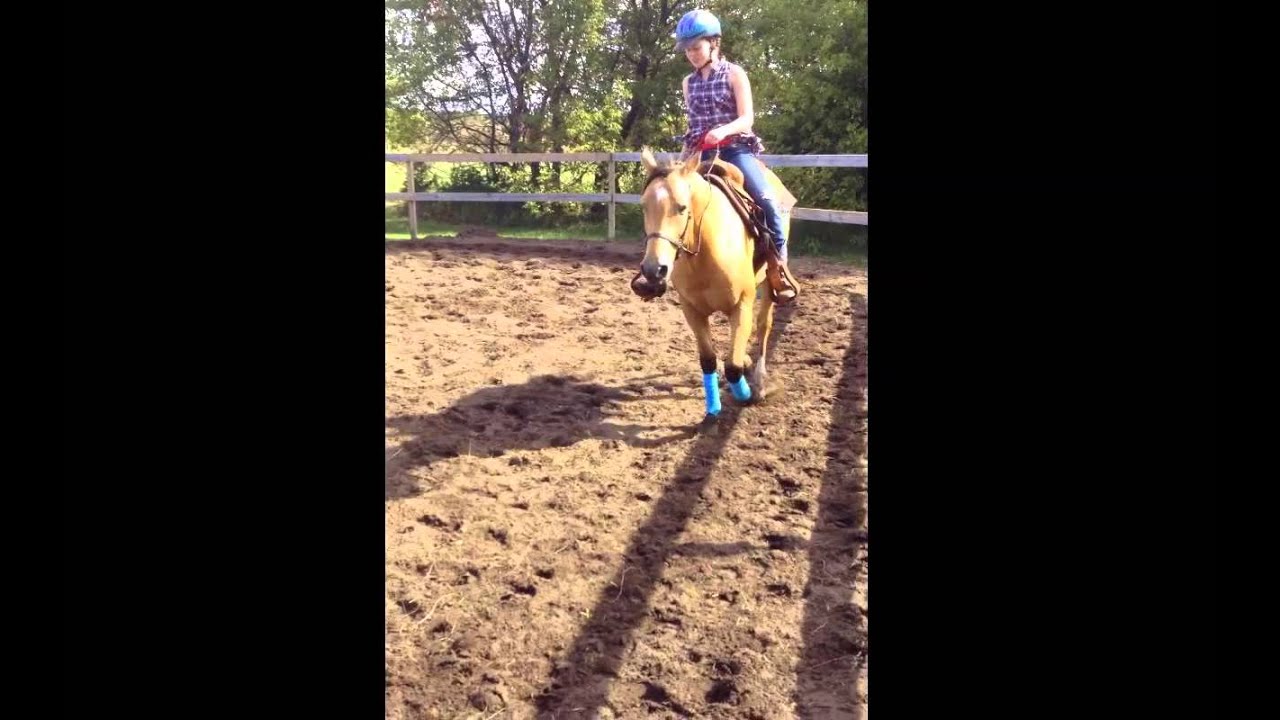 Buck and Tristan at the Fun show - YouTube