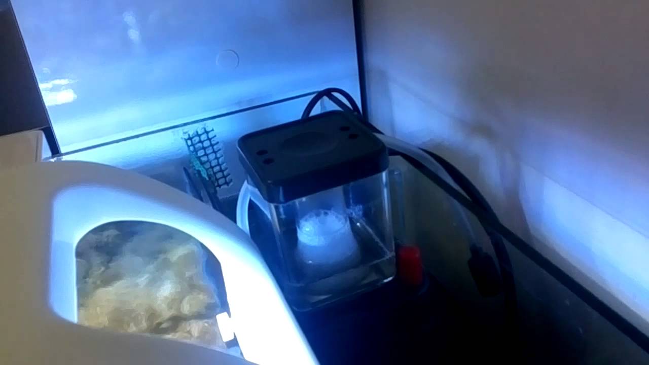 Aqua Macro NS-12 - YouTube