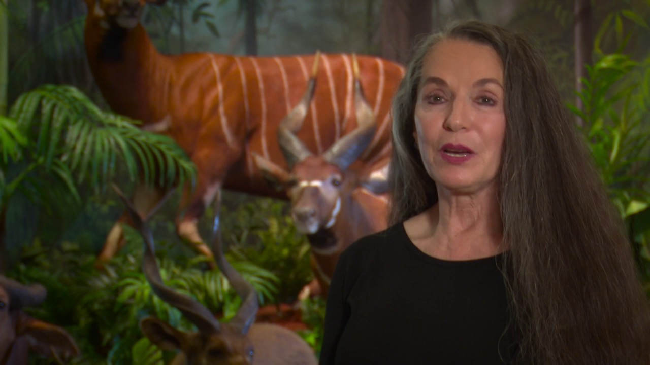 2017 CONKLIN AWARD Renee Snider - YouTube