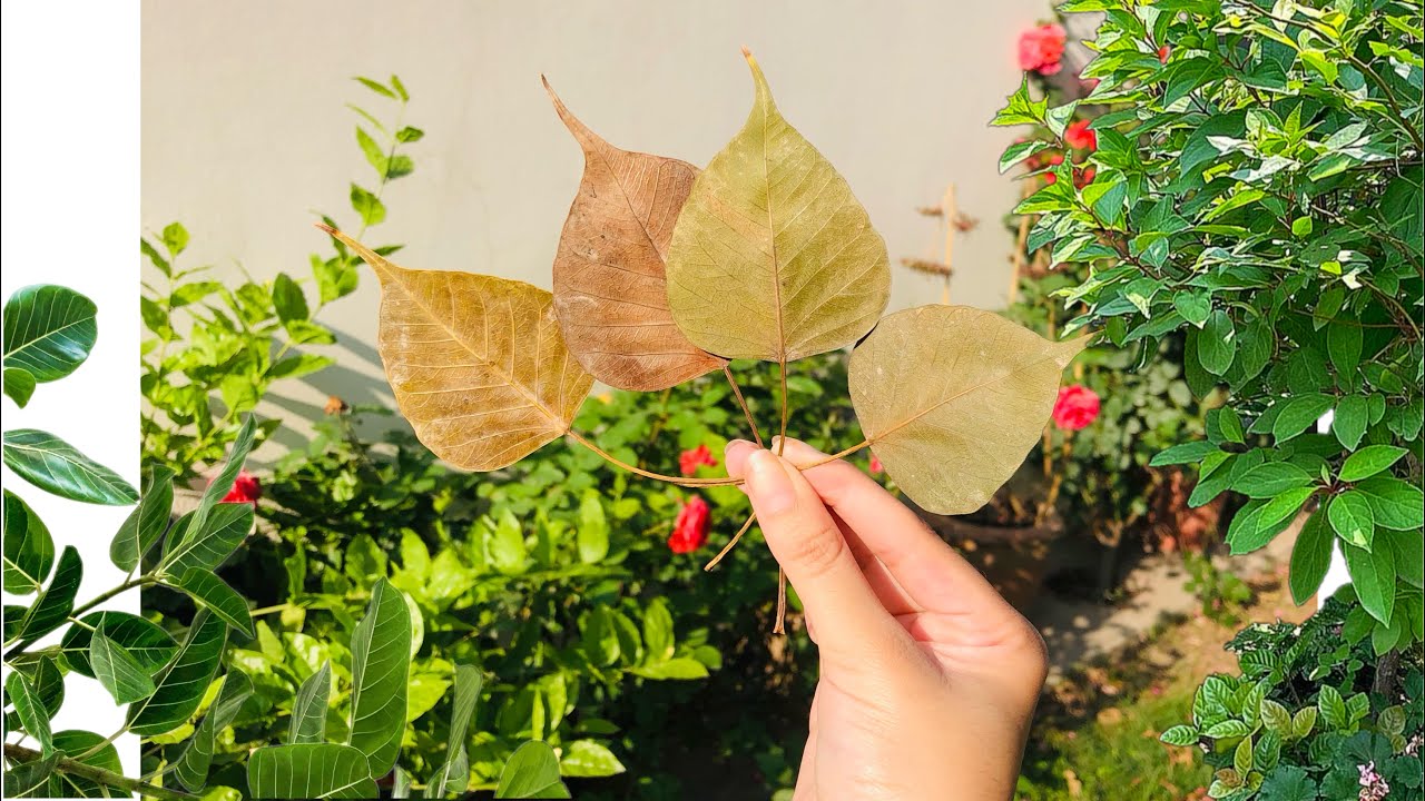 landscape painting on leaf🎨/cute mini leaf painting tutorial🍂#leaf # ...