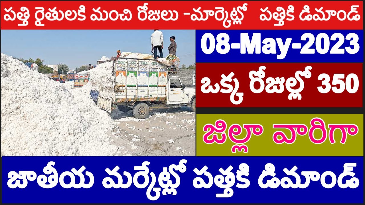 08-05-2023 today cotton price/today cotton rate/cotton price today ...