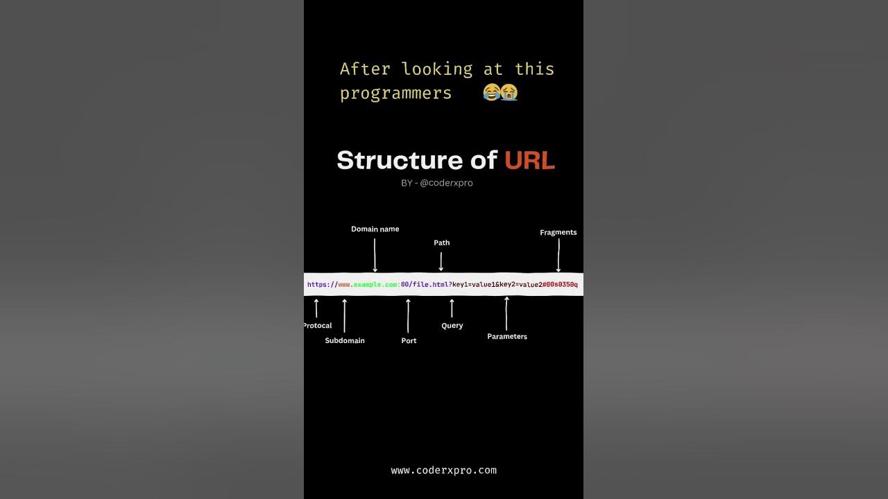 Pov You Are The Noob Programmers Html Css Url Webdesign Javascript Programming Coding