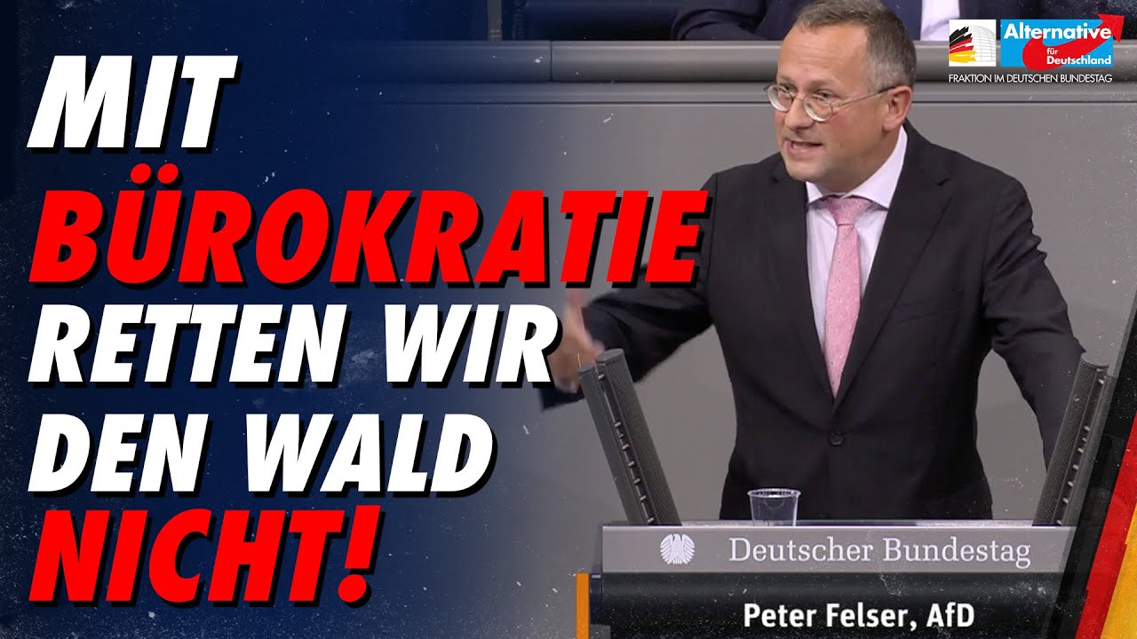Mit Bürokratie retten wir den Wald nicht! - Peter Felser - AfD-Fraktion ...