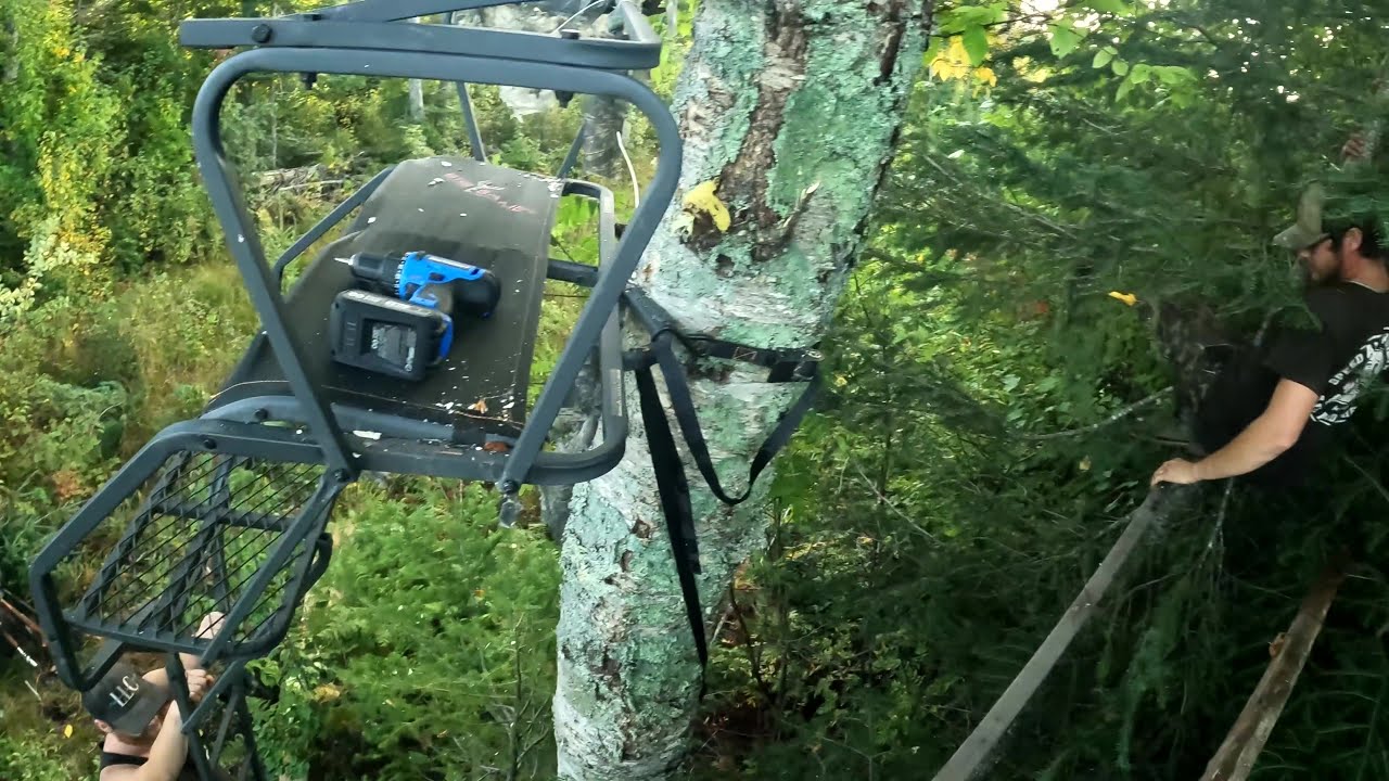 back at the tree stand - YouTube