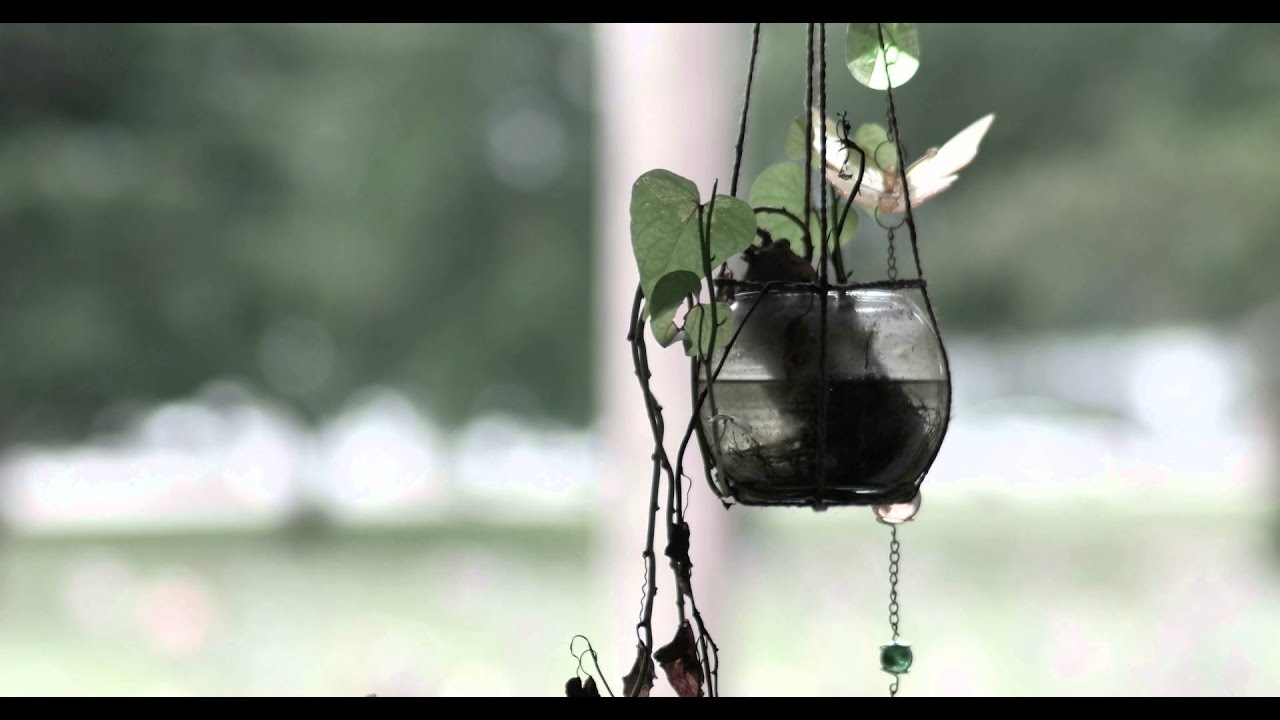 4K Cinematic Test w/ Samsung NX500