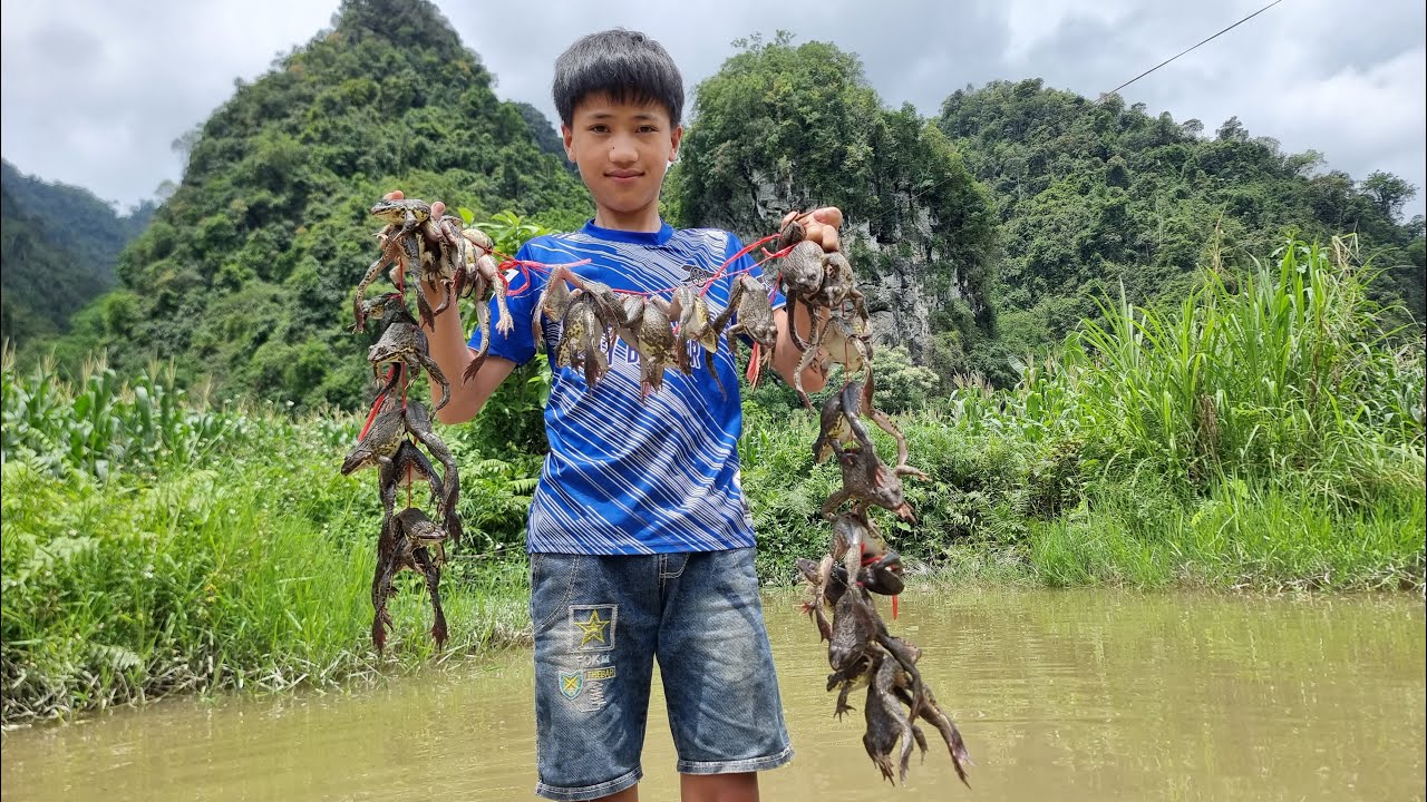 Nam's super cool way to trap frogs overnight - The next day's results ...