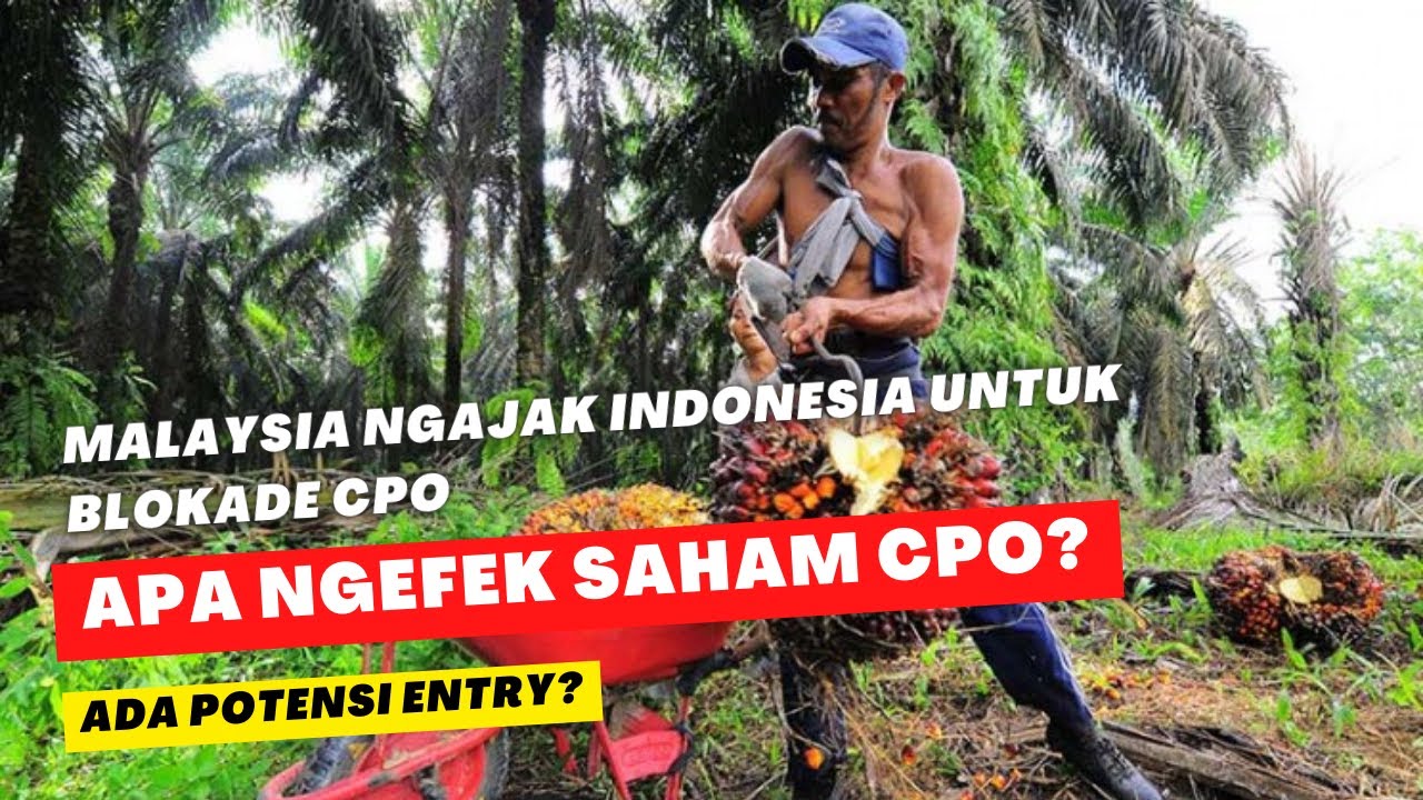 Malaysia ajak blokade CPO, bakal ngefek ke saham perusahaan CPO? - YouTube