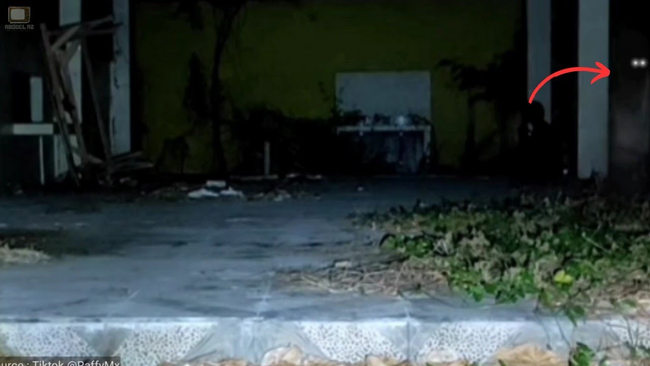 This one really makes goosebumps😱, the clearest appearance of a real ...