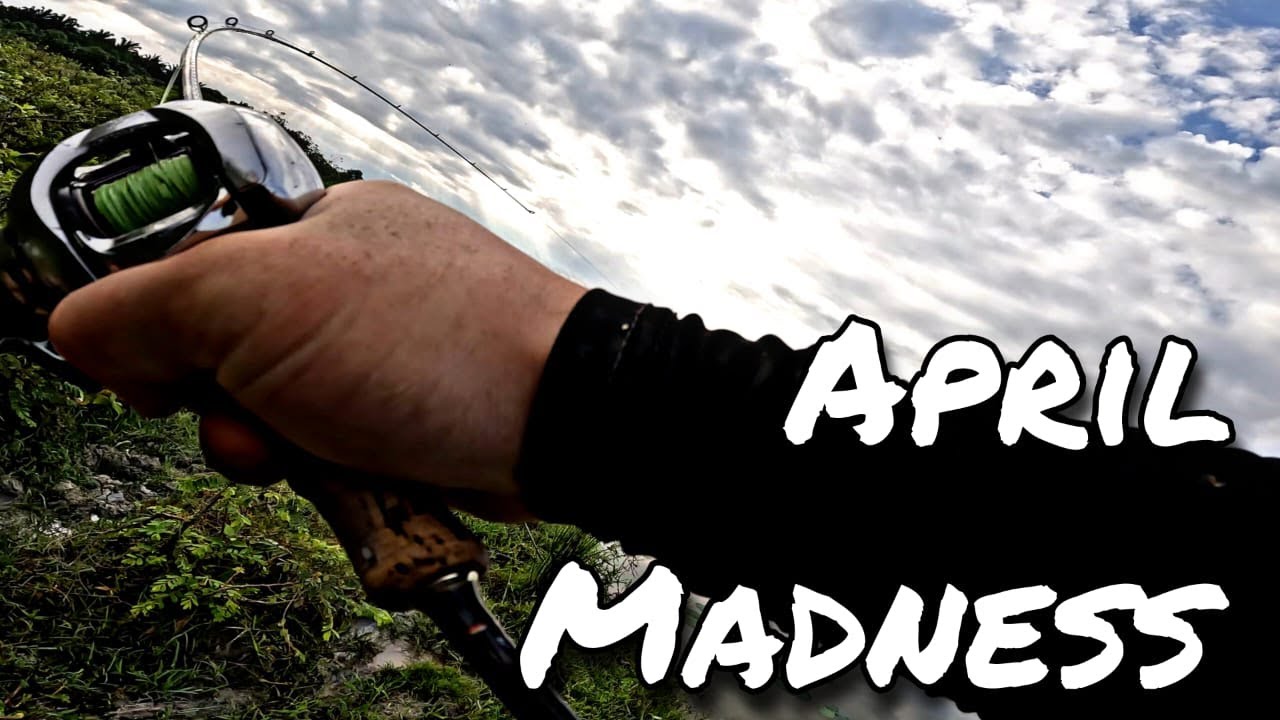 【Lure Casting 路亚抛投】 April Madness 疯狂四月 | 莲花塘 Lotus Pond - YouTube