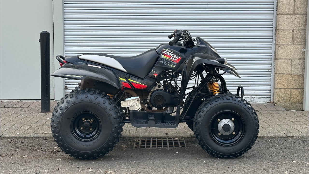 Quadzilla Stinger 100 / SMC Hornet 100 - YouTube