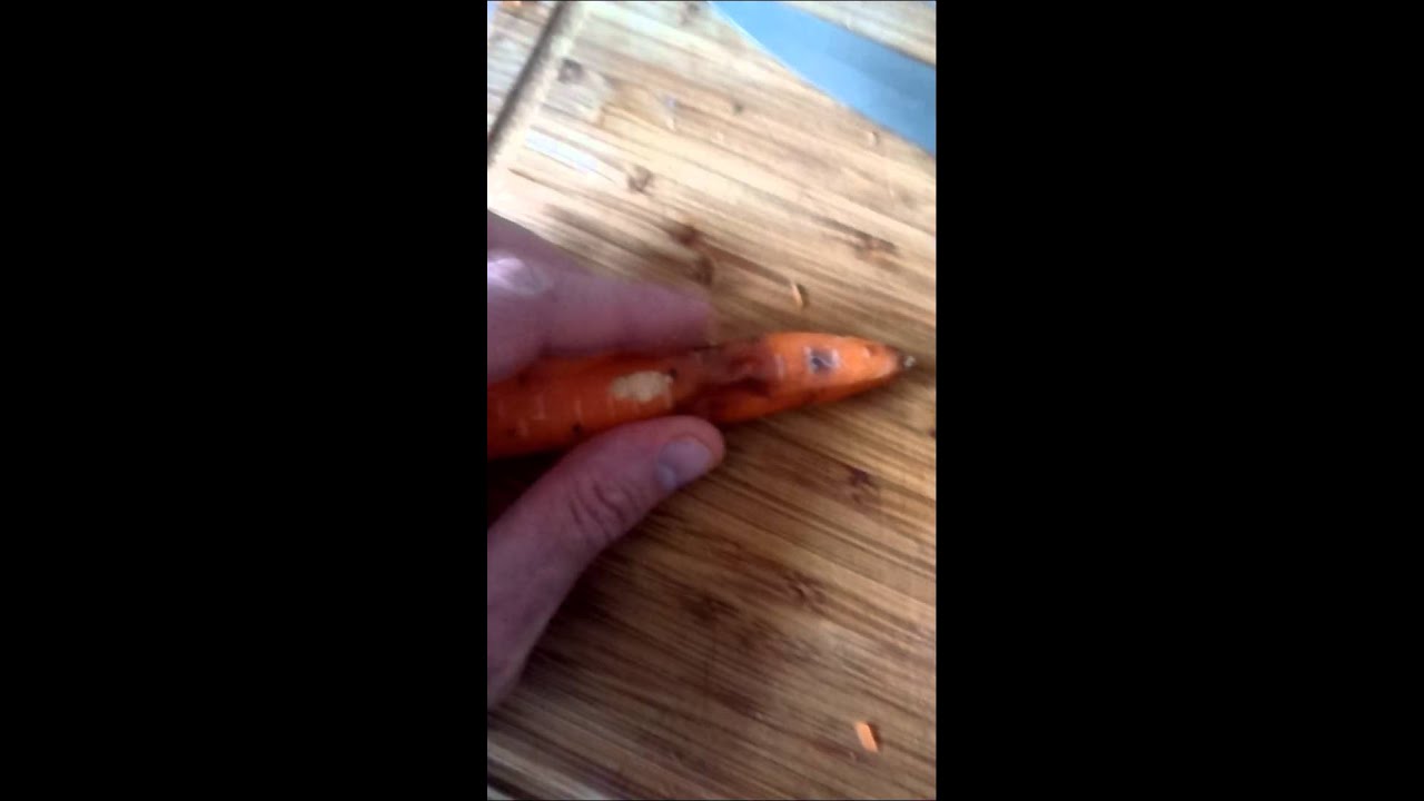 The farting carrot - YouTube
