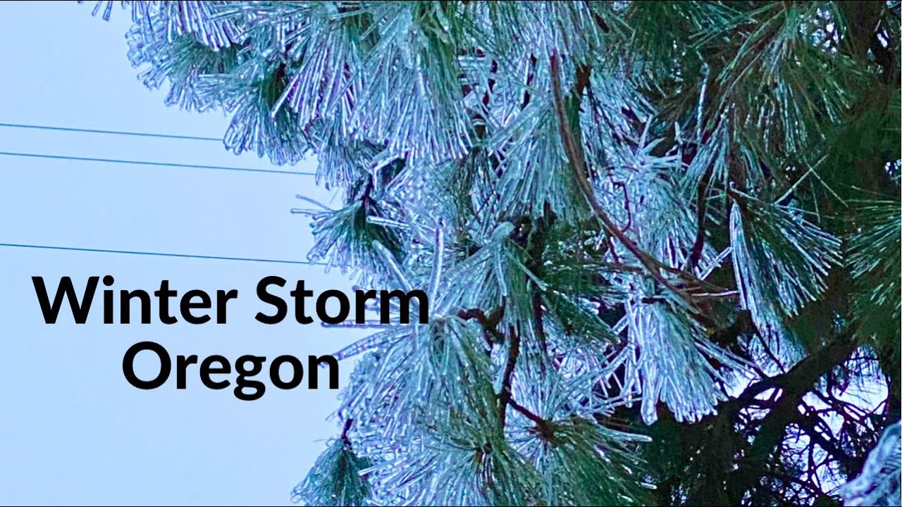 Winter Storm Oregon 4K / February 2021 - YouTube