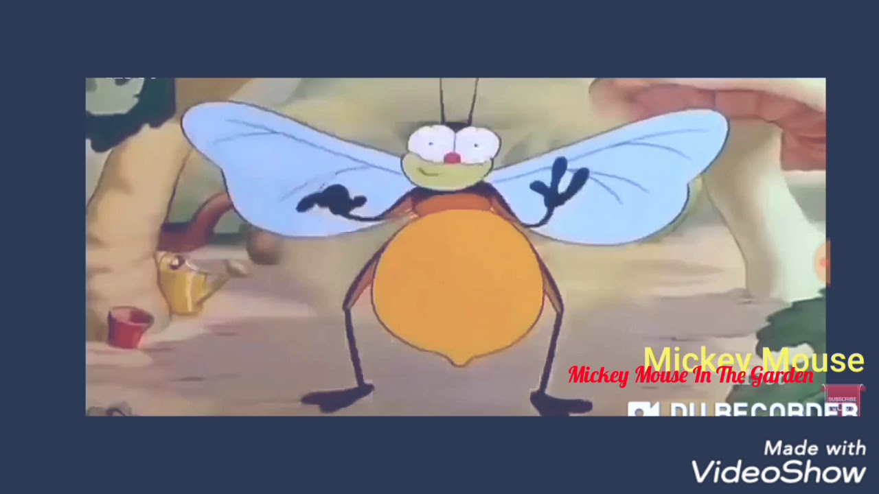Mickey Mouse In The Garden(Film Cartoon) - YouTube