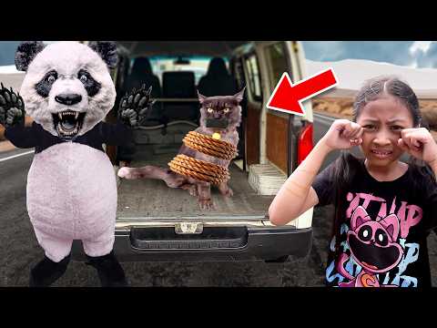 SEDIH BANGET KUCING KESAYANGAN ALUNA DAN AMANDA HILANG DI CURI!! 