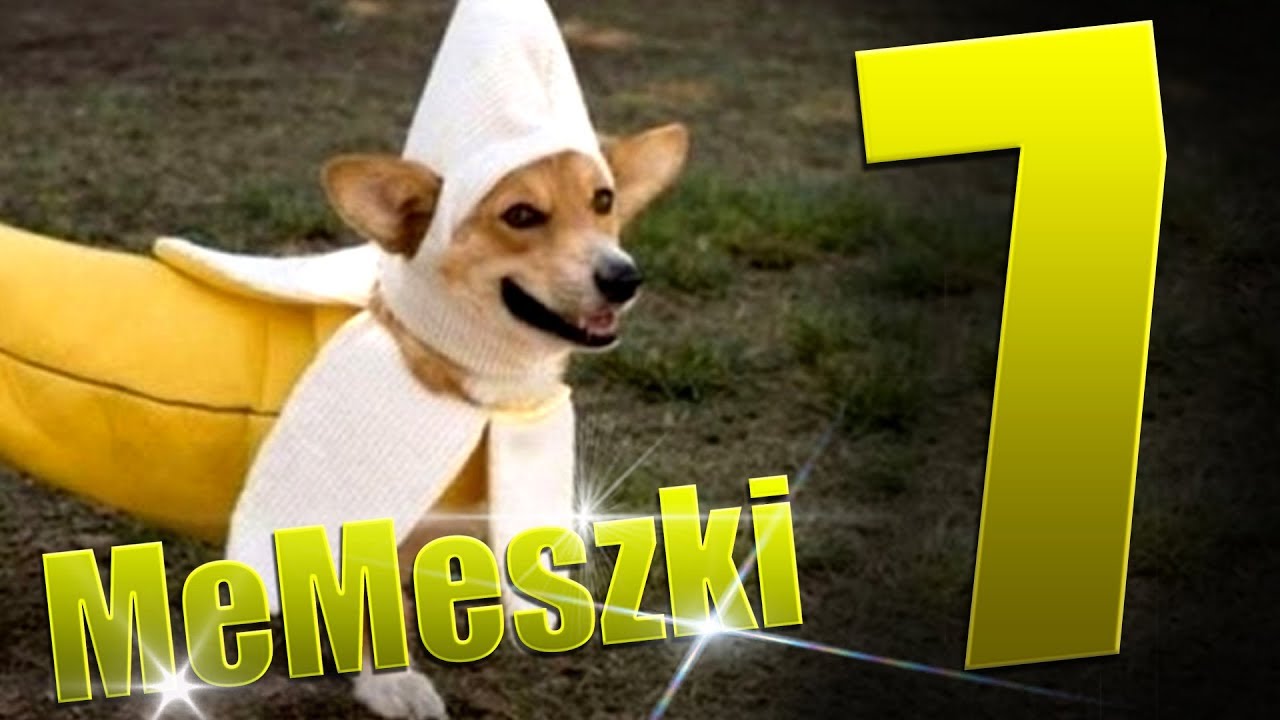 TOP MEMY MIESIĄCA | MeMeszki #7 - YouTube