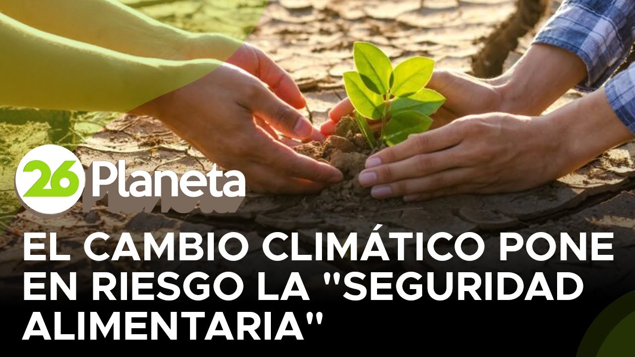 El Cambio Climático Pone En Riesgo La Seguridad Alimentaria Videos
