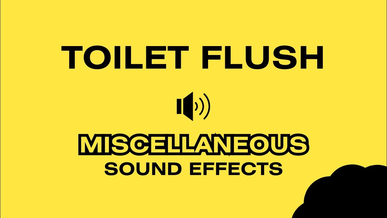 TOILET FLUSH - Sound Effects - YouTube