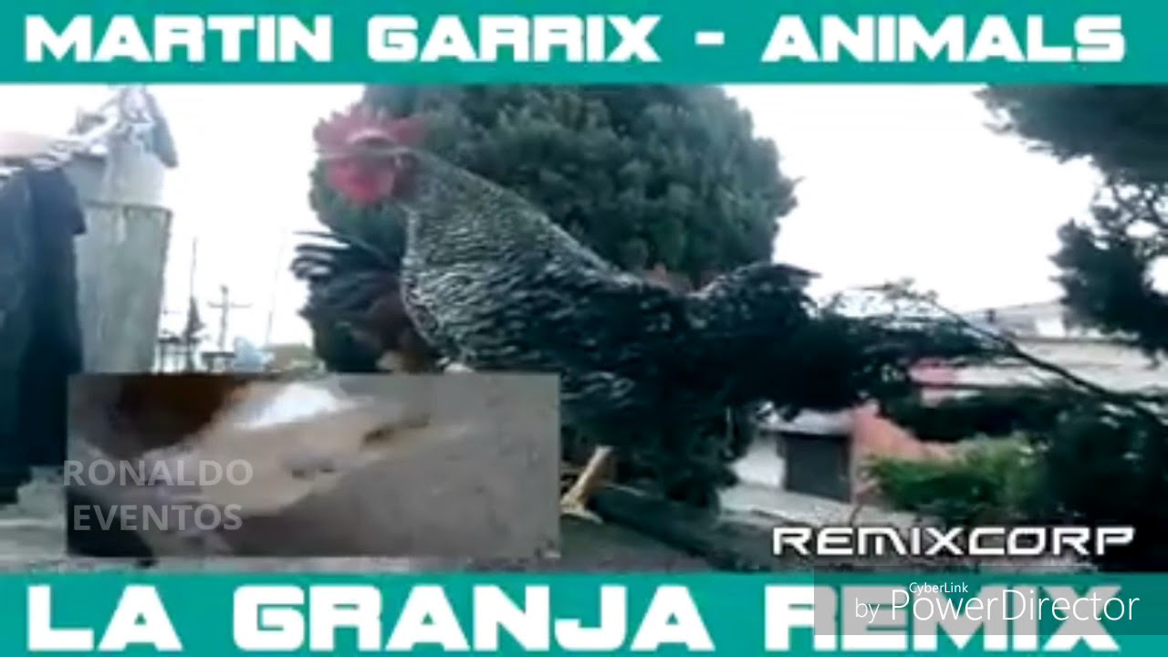 LA MEJOR CANCIÓN ELECTRÓNICA DEL GALLITO ....Dj Ronaldo - YouTube