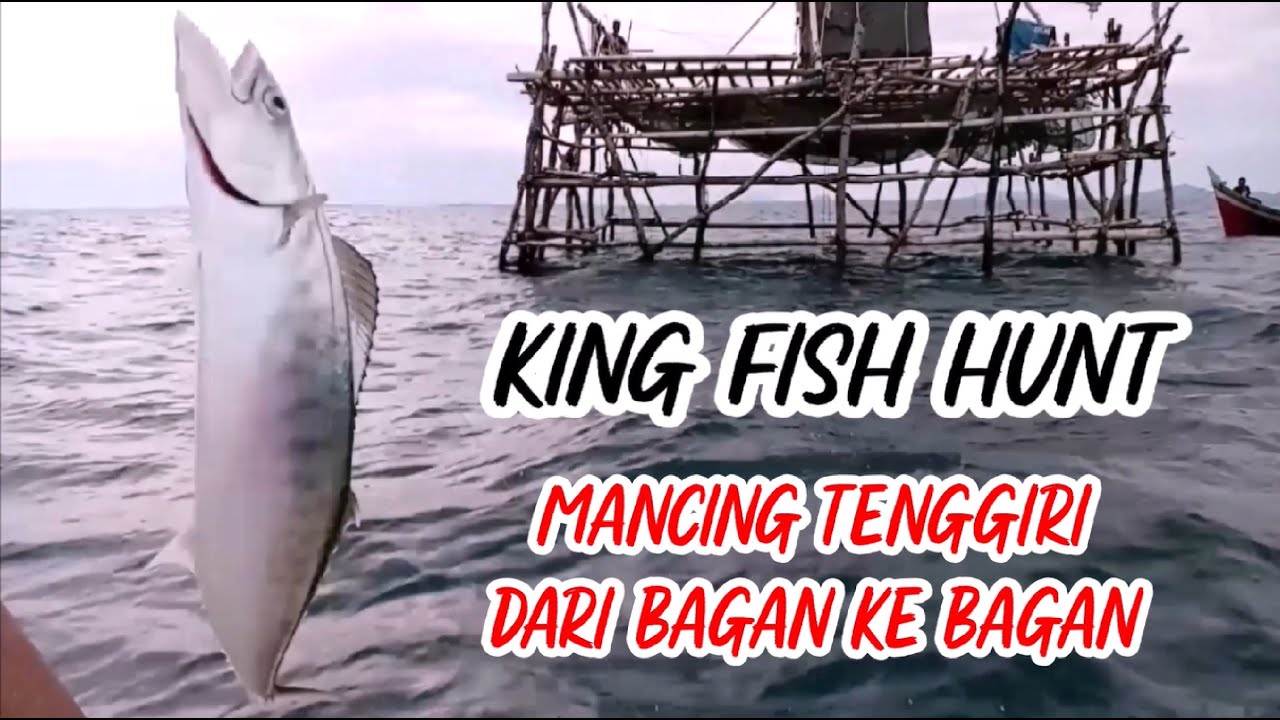 FISHERMAN'S HOUSE ON THE SEA 5 - BELAJAR MANCING IKAN TENGGIRI DI BAGAN ...