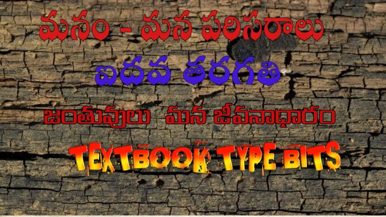 5TH CLASS EVS IN TELUGU LESSON 1 TEXTBOOK BITS IN TELUGU YouTube 5th-class-evs-in-telugu-lesson-1-textbook-bits-in-telugu-youtube