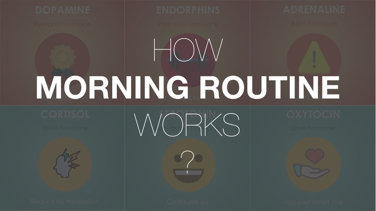 Morning Routine Explained By Hormone Functions Youtube